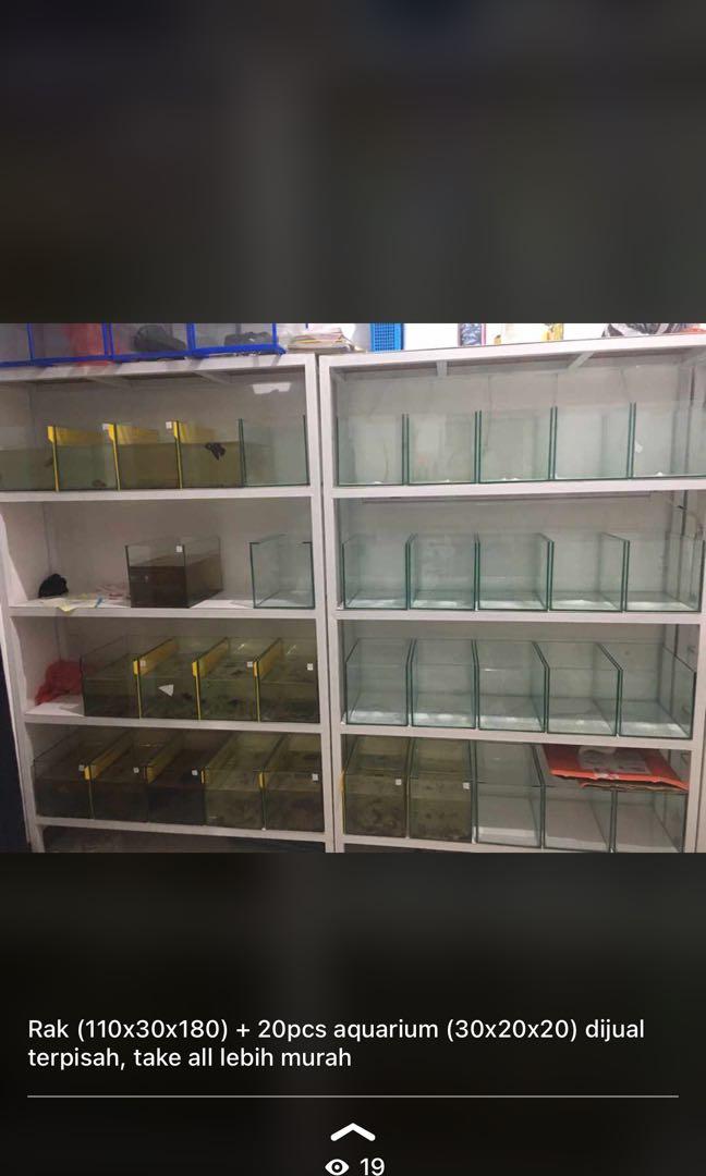 Rak dan solitaire ikan, Perlengkapan Hewan, Aksesoris Hewan di Carousell