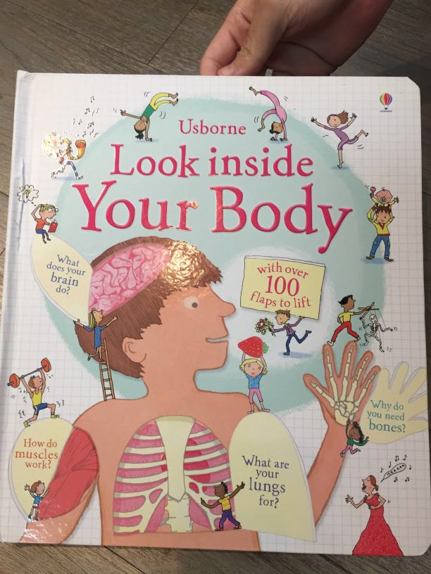 Usborne Look Inside Body, Hobbies & Toys, Books & Magazines, Children's ...