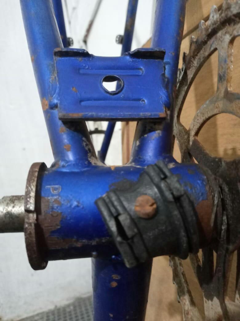 frame sepeda federal city cat, Olah Raga, Sepeda di Carousell