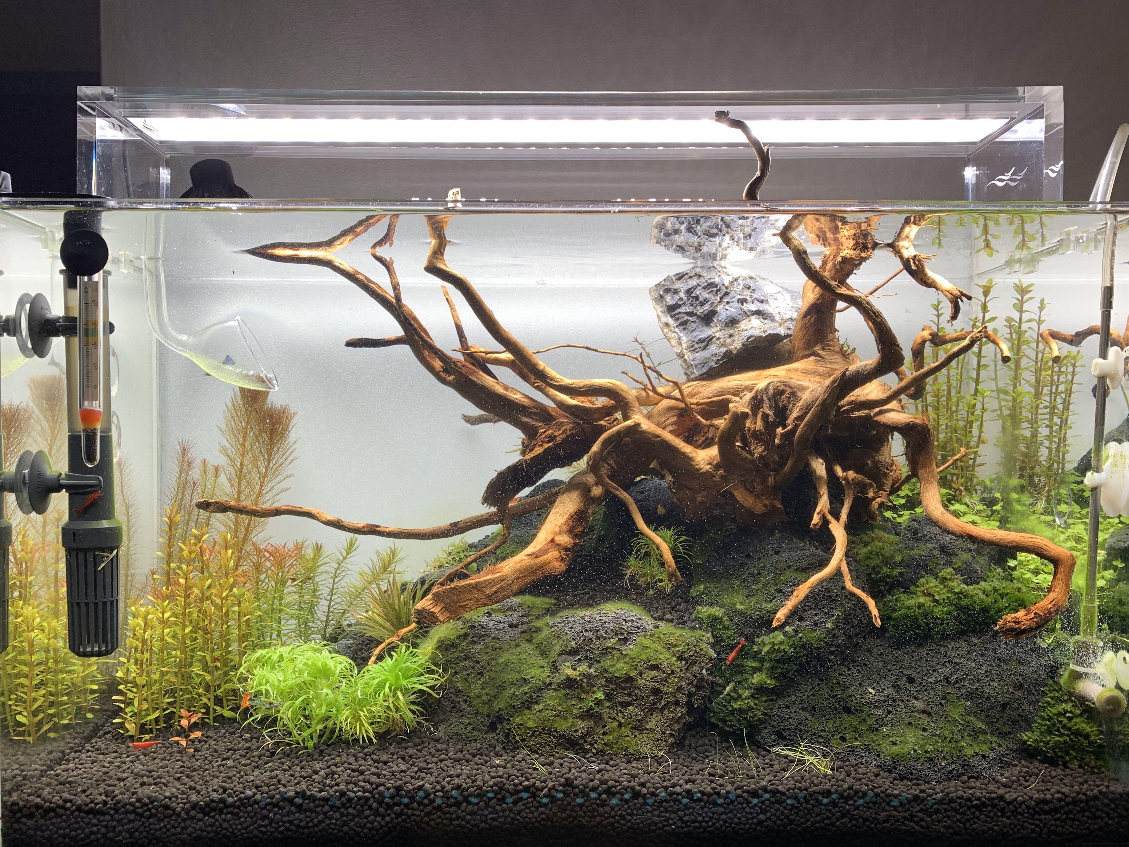 GEX black aquasoil *used* 8.2Kg, Pet Supplies, Homes & Other Pet Accessories on Carousell