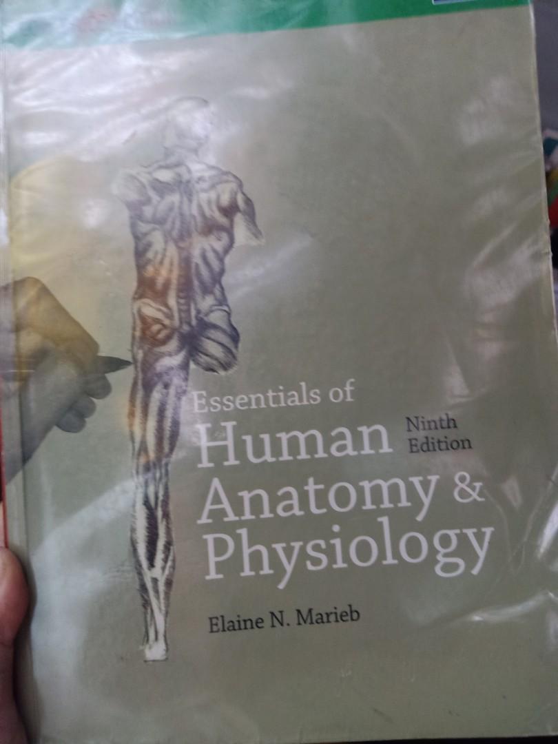 MARIEB - ANATOMY, Hobbies & Toys, Books & Magazines, Fiction & Non ...