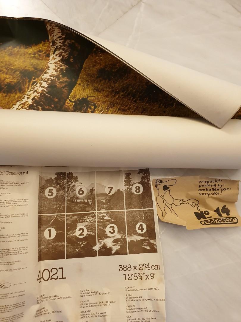 Scandecor Wallpaper Poster Mural, Hobbies & Toys, Memorabilia ...