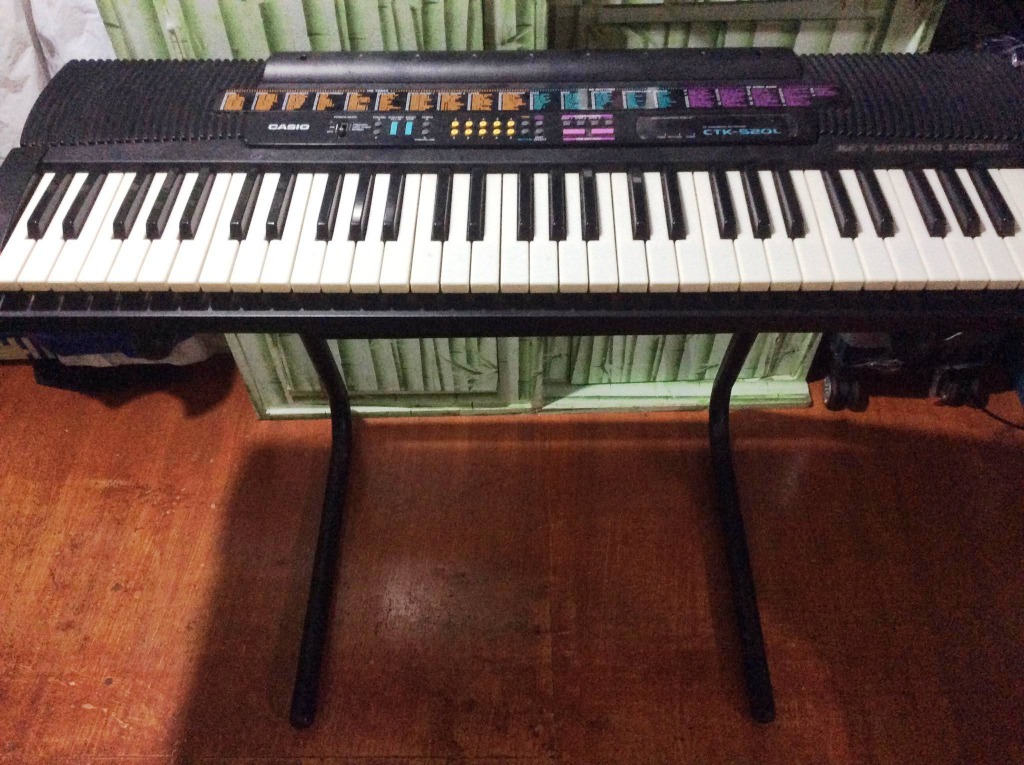 Casio Organ/ Keyboard, Hobbies & Toys, Music & Media, Musical ...