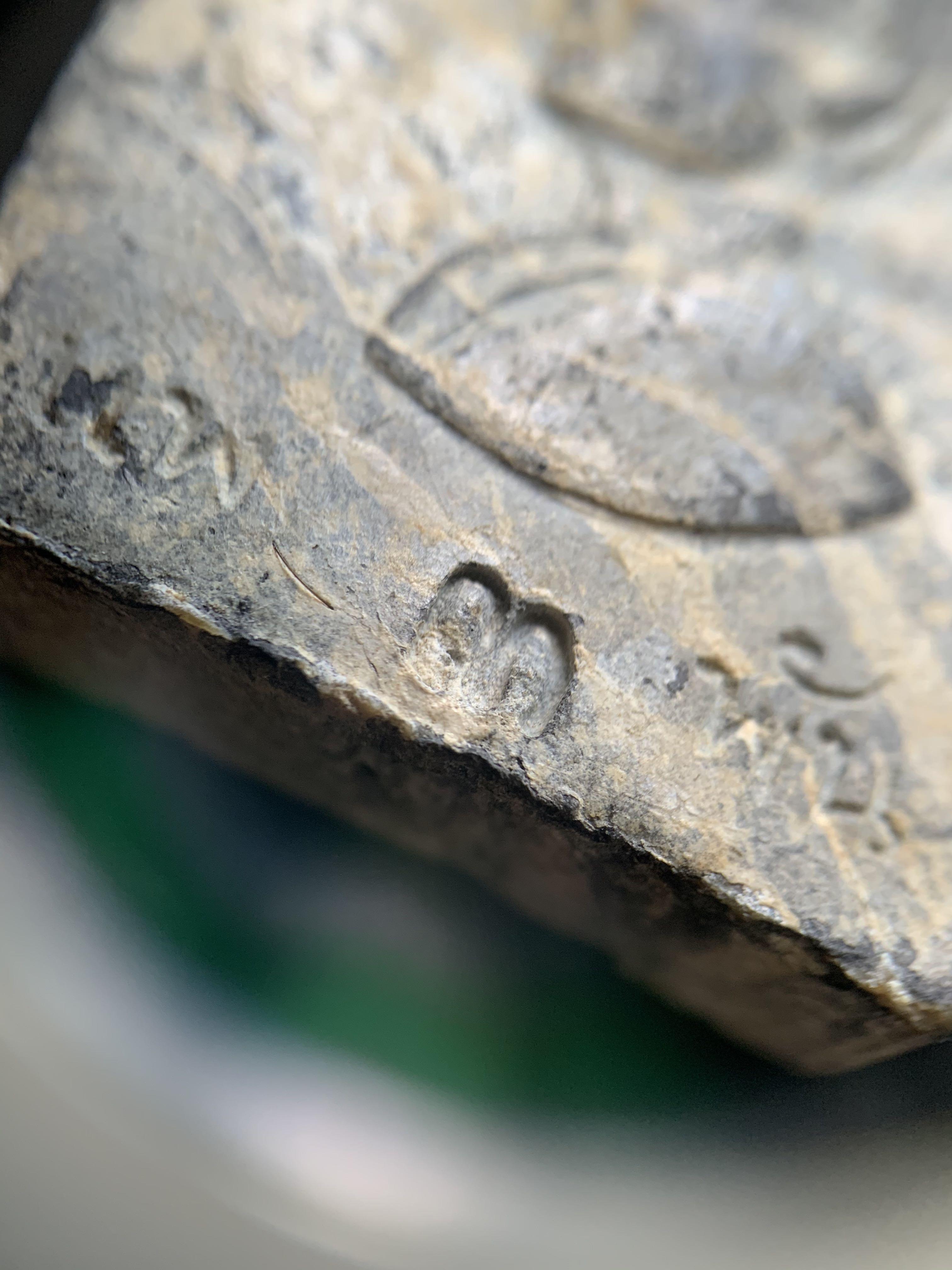 LP Pae Phra Somdej Sam Pan Nur Laisuea B.E.2512, Vintage & Collectibles ...