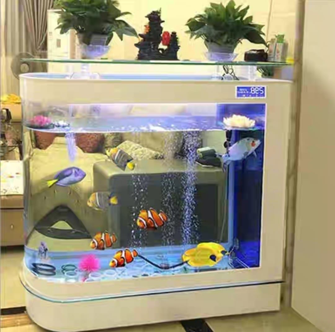 Classy bullet fish tank/divider tank, Pet Supplies, Homes & Other Pet ...