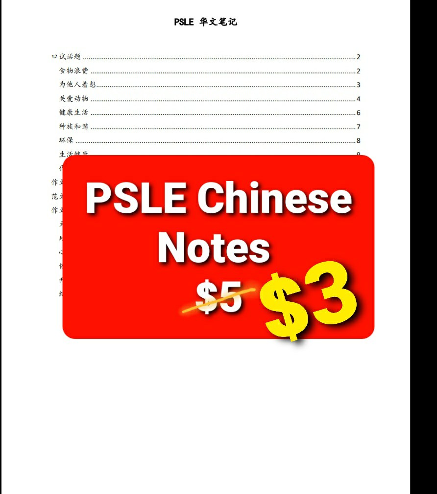 PSLE Chinese Notes, Everything Else on Carousell
