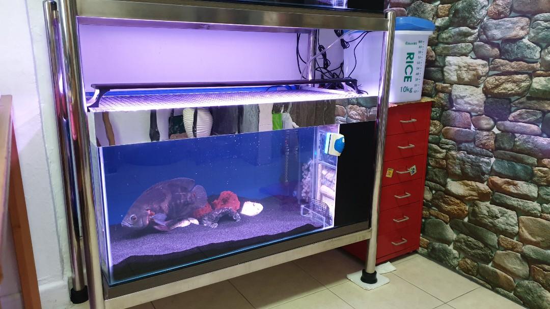 3ft Fish Tank - 2 Tier With Stainless Steel Stand, Pet Supplies, Homes ...