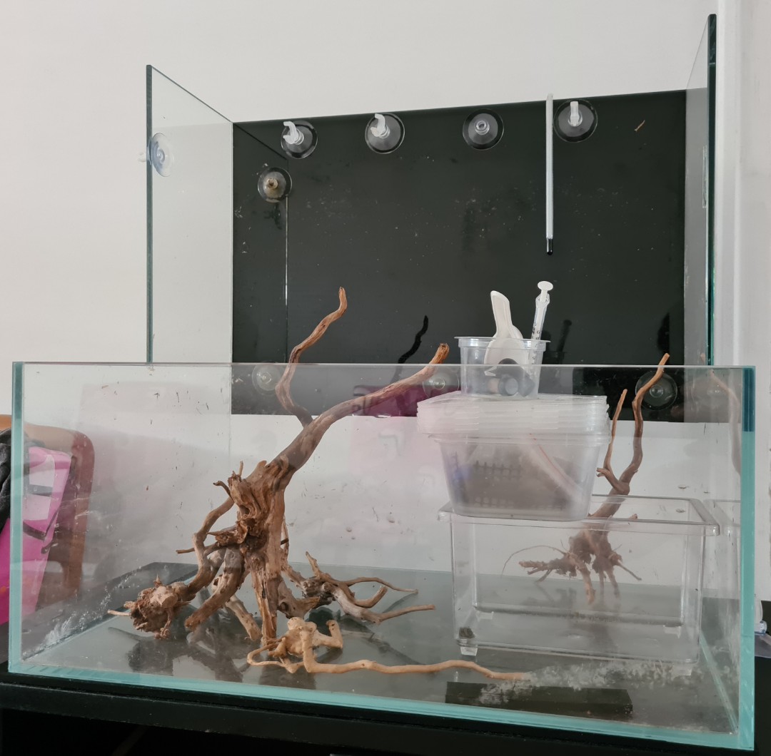 45cm custom made crystal glass tank. Inspired by DOOA terrarank ...