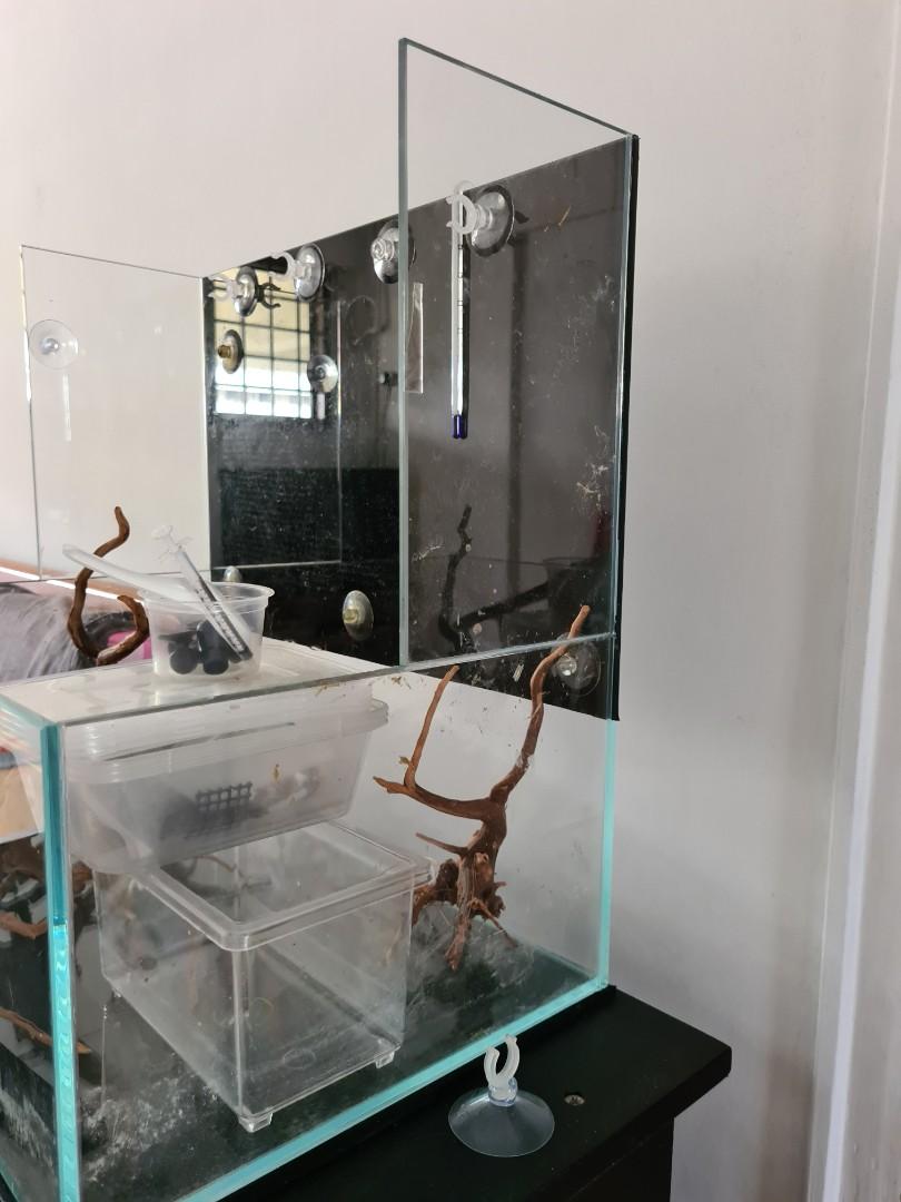 45cm custom made crystal glass tank. Inspired by DOOA terrarank ...