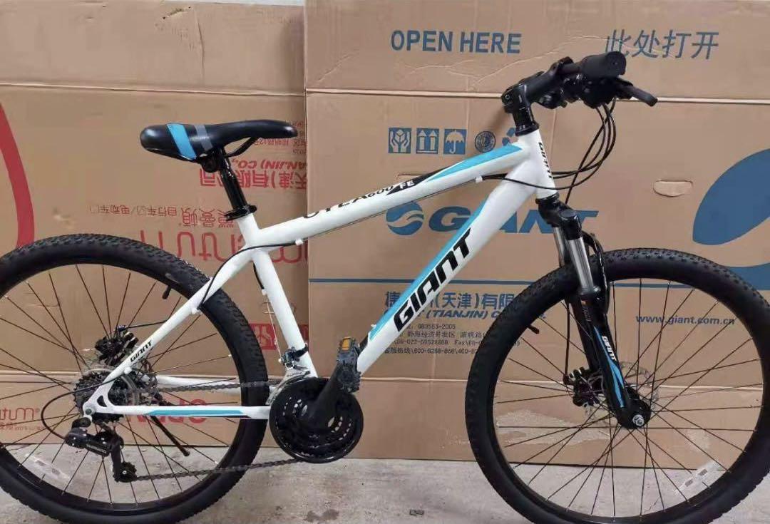 Giant OYEA 600, Sports Equipment, Bicycles & Parts, Bicycles on Carousell