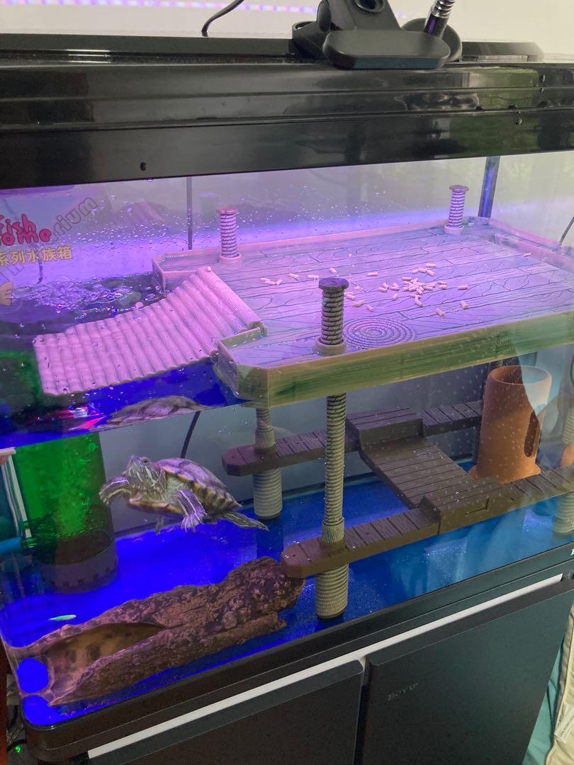 Large terrapin / turtle basking floating platform, Pet Supplies, Homes ...