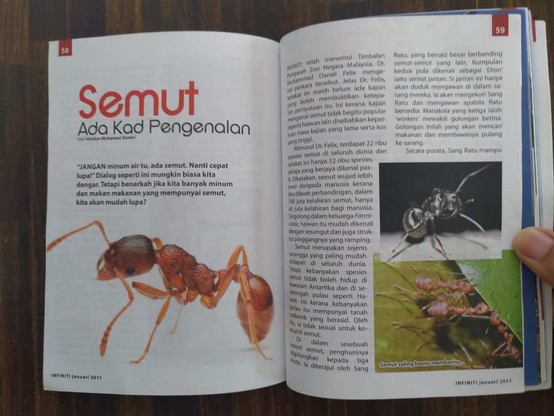 Majalah Infiniti (Edisi ke-20, Jan 2010), Hobbies & Toys, Books ...