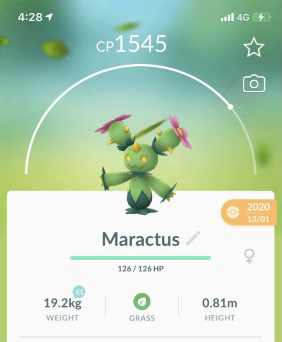 Maractus Pokemongo, Video Gaming, Gaming Accessories, Game Gift Cards ...