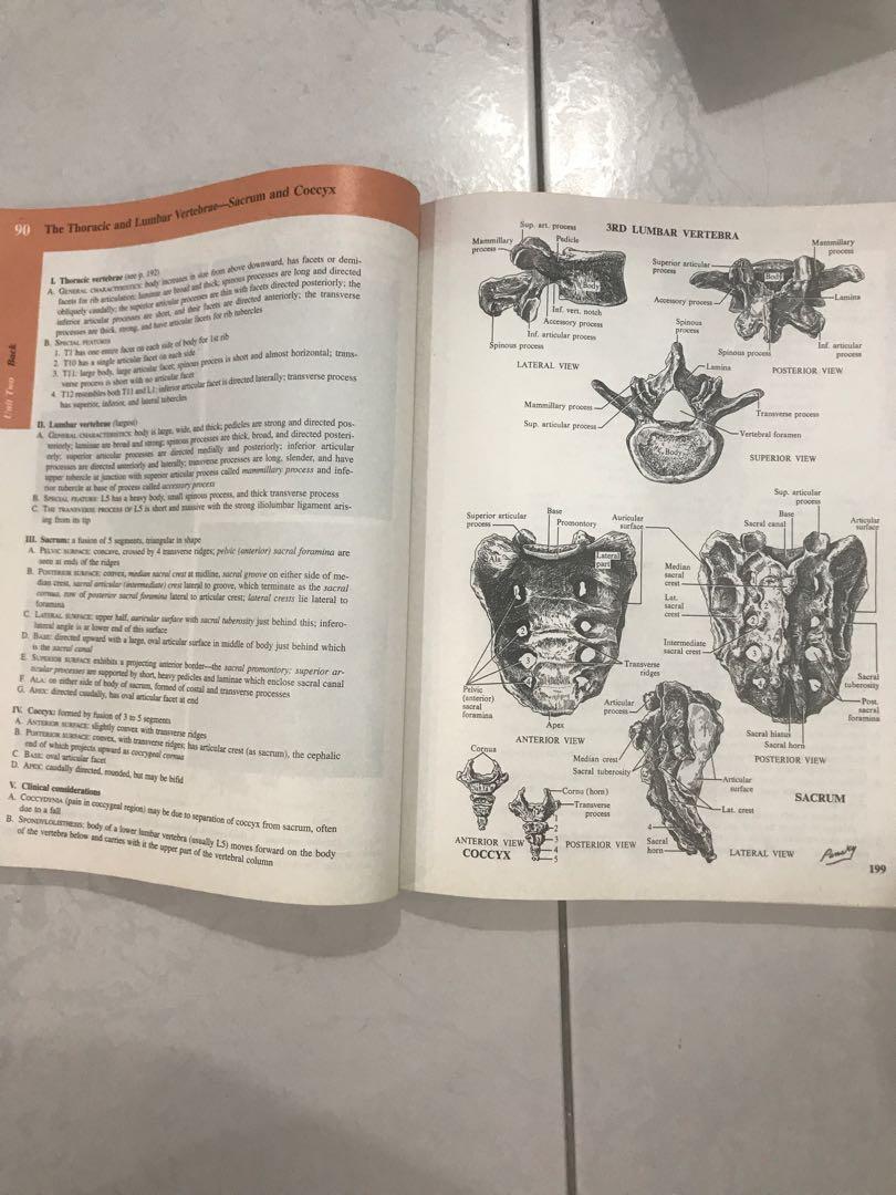 Review of Gross Anatomy Sixth Edition by Ben Pansky, Hobbies & Toys ...