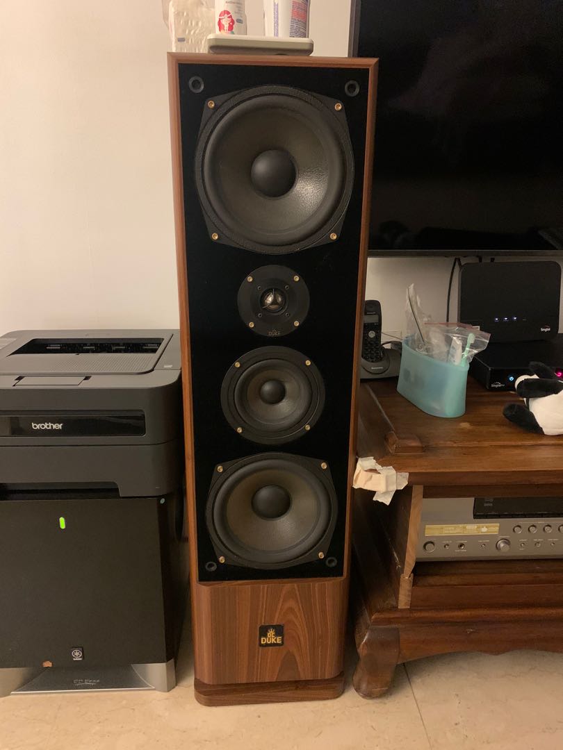 Duke Floor Standing Speaker Pair, Electronics, Audio on Carousell