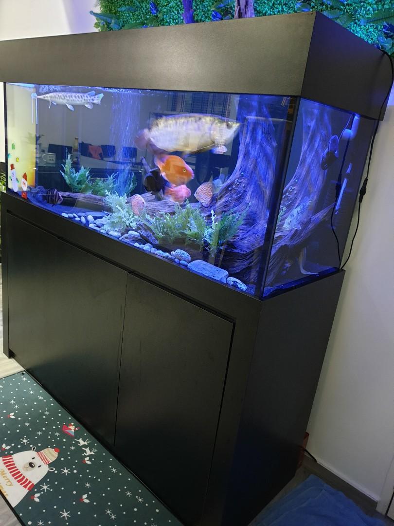 Fish tank for sale 5 feet., Pet Supplies, Homes & Other Pet Accessories ...
