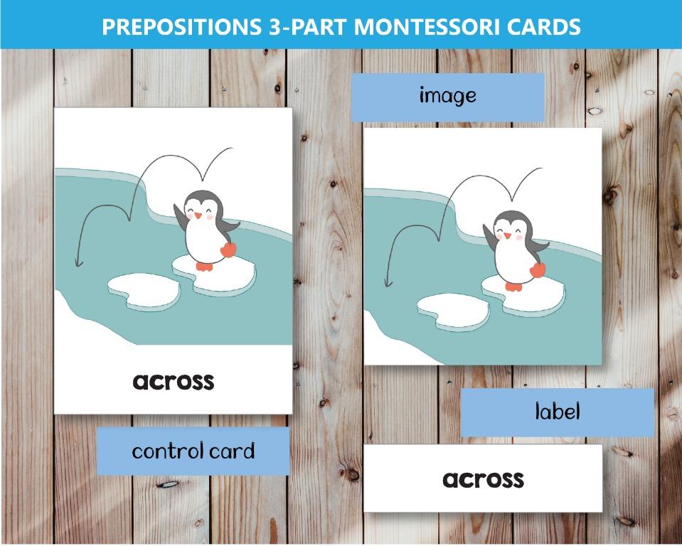 Prepositions Montessori 3-part Cards, Hobbies & Toys, Books & Magazines ...