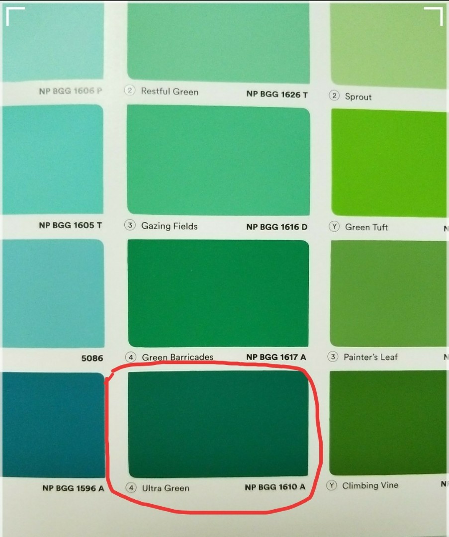 NIPPON PAINT: Vinilex 5000 Low Odour (1 Litre), Furniture & Home Living ...