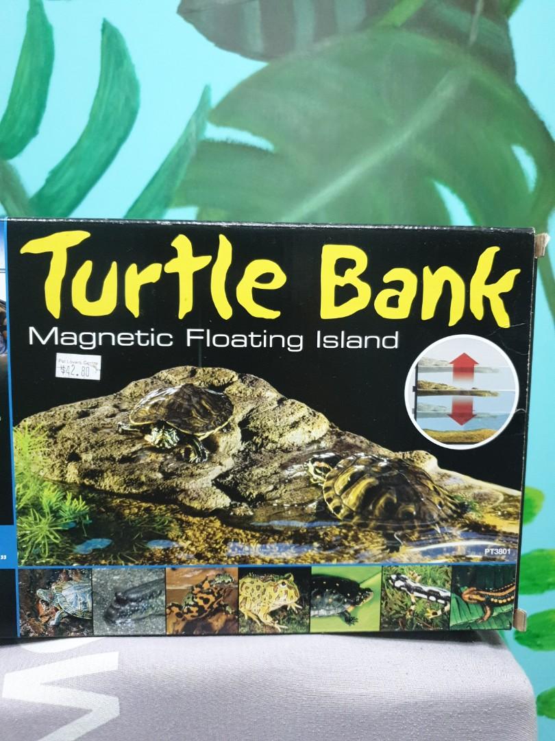 Turtle Bank(Medium), Pet Supplies, Homes & Other Pet Accessories on ...