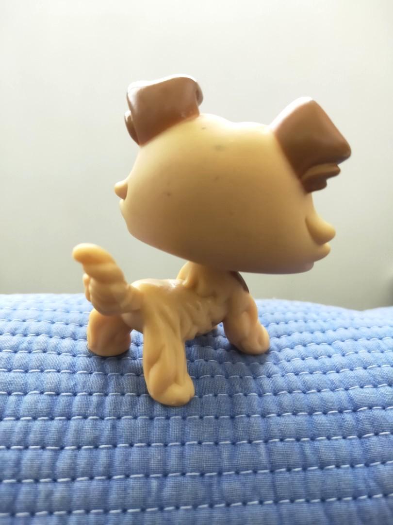 Lps littlest pet shop Collie dog, Hobbies & Toys, Toys & Games on Carousell