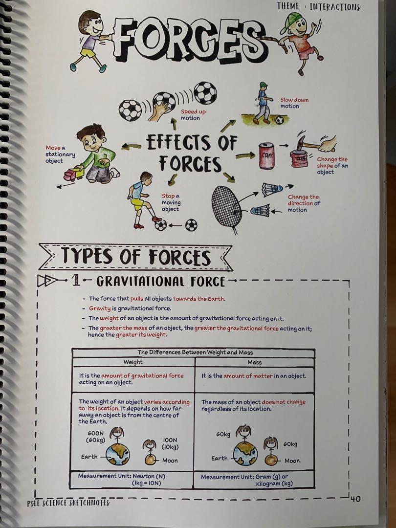 PSLE Science Sketchnotes, Hobbies & Toys, Books & Magazines, Assessment ... PSLE Science Sketchnotes, Hobbies & Toys, Books & Magazines, Assessment ...