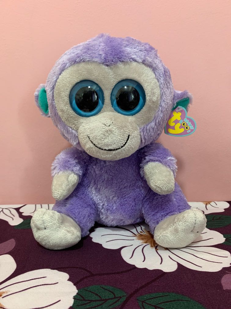 TY beanie boo blueberry (monkey), Hobbies & Toys, Toys & Games on Carousell