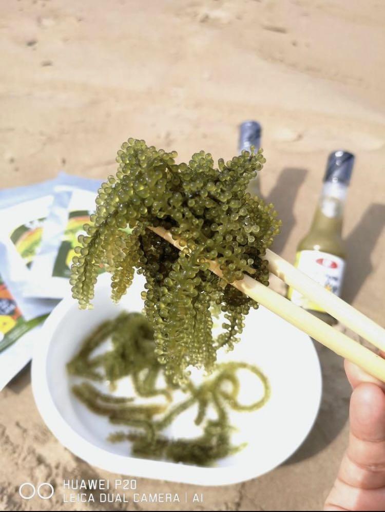 Latok Pop Pop Sabah, Food & Drinks, Fresh Produce on Carousell