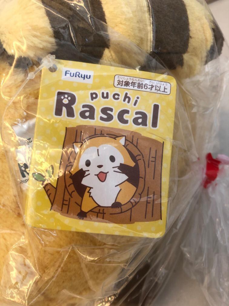 FuRyu The Petit Rascal the Raccoon Plush/Soft Toy (Toreba), Hobbies ...