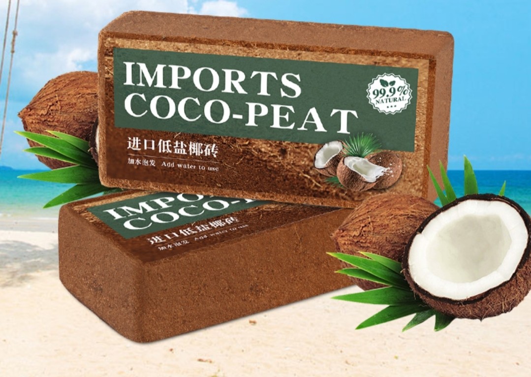 Import coco peat brick soil coconut plant, Furniture & Home Living ...
