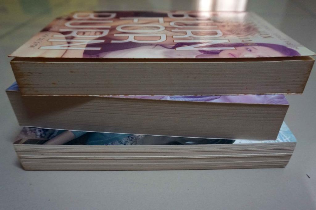 Burn for Burn Series by Jenny Han & Siobhan Vivian, Hobbies & Toys ...