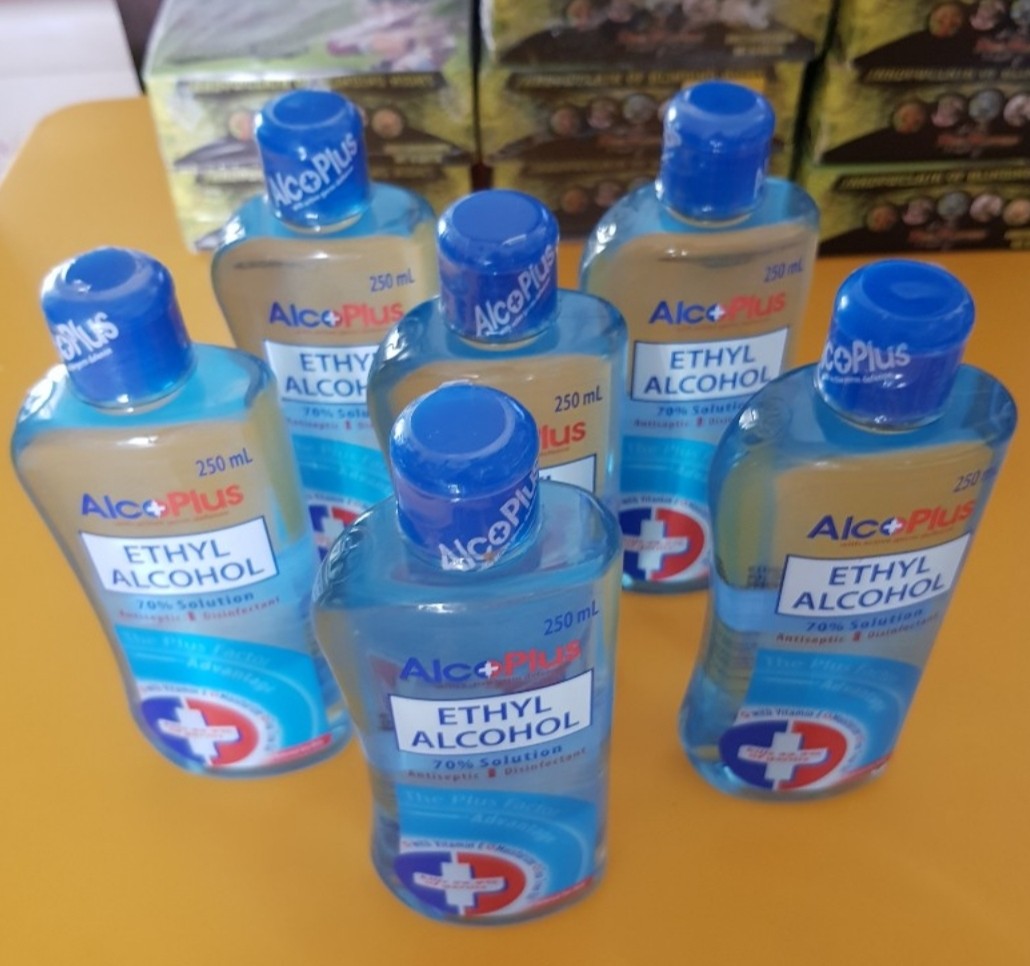 Alco Plus Ethyl Alcohol 70% Antiseptic Disinfectant, Beauty & Personal ...