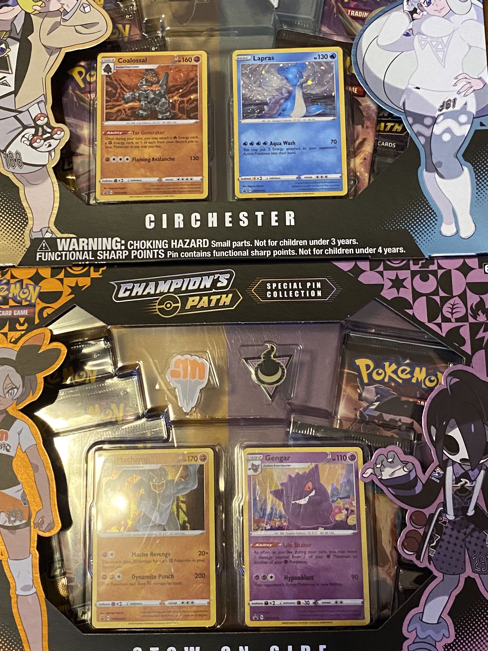 Pokemon Champions Path Circhester and Stow on Side Gym Special Pin ...