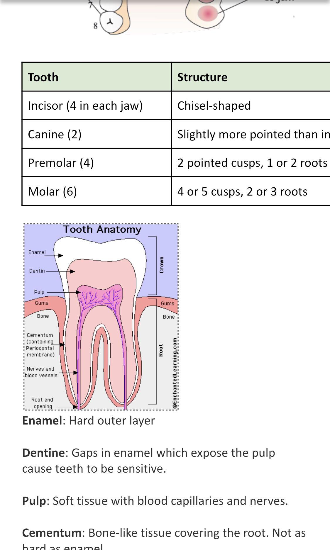 IGCSE 0654 BIOLOGY CO-ORDINATED SCIENCES (DOUBLE AWARD) NOTES, Hobbies ...