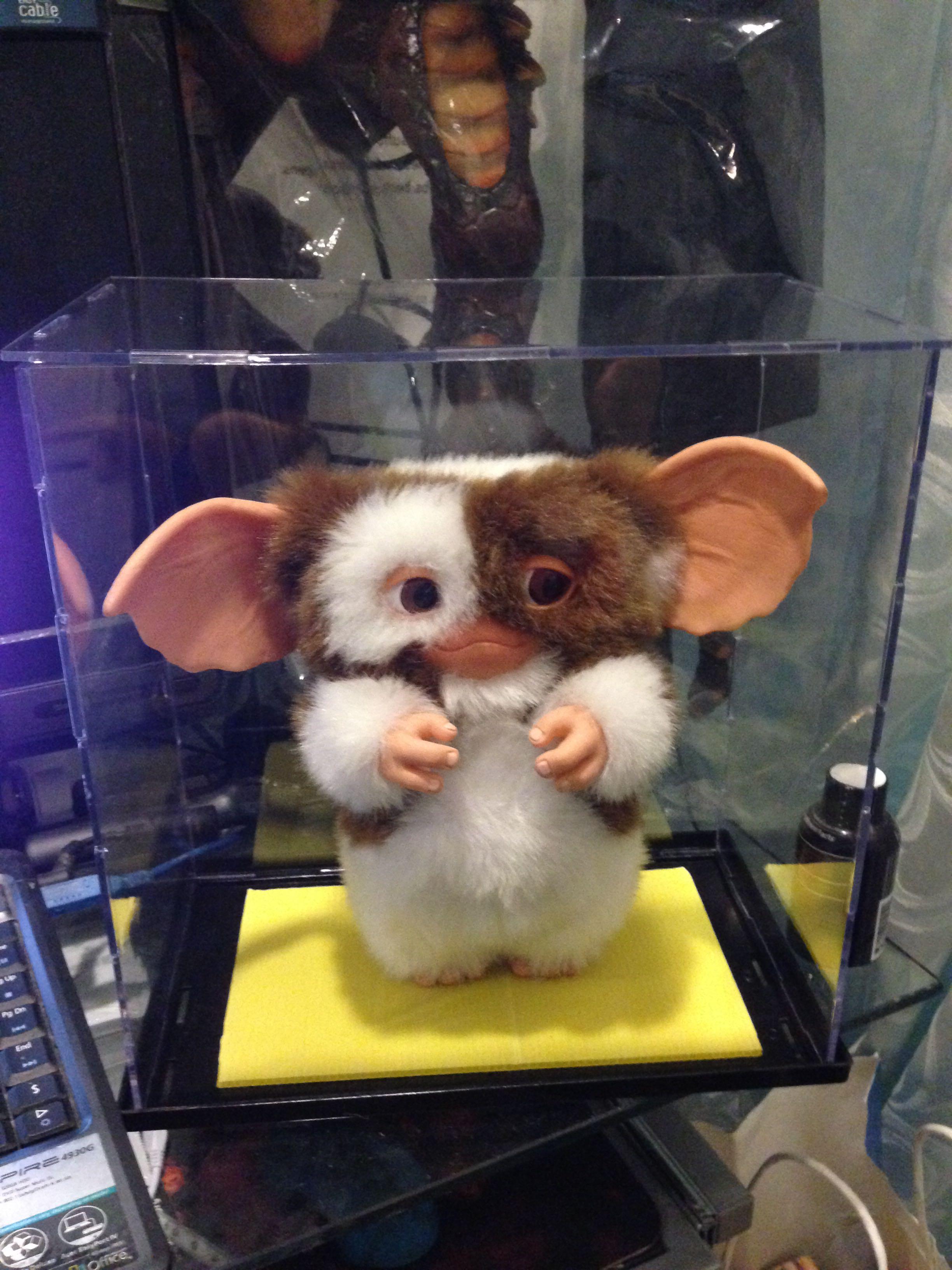 Jun planning life size Gizmo neca sideshow, Hobbies & Toys, Toys ...