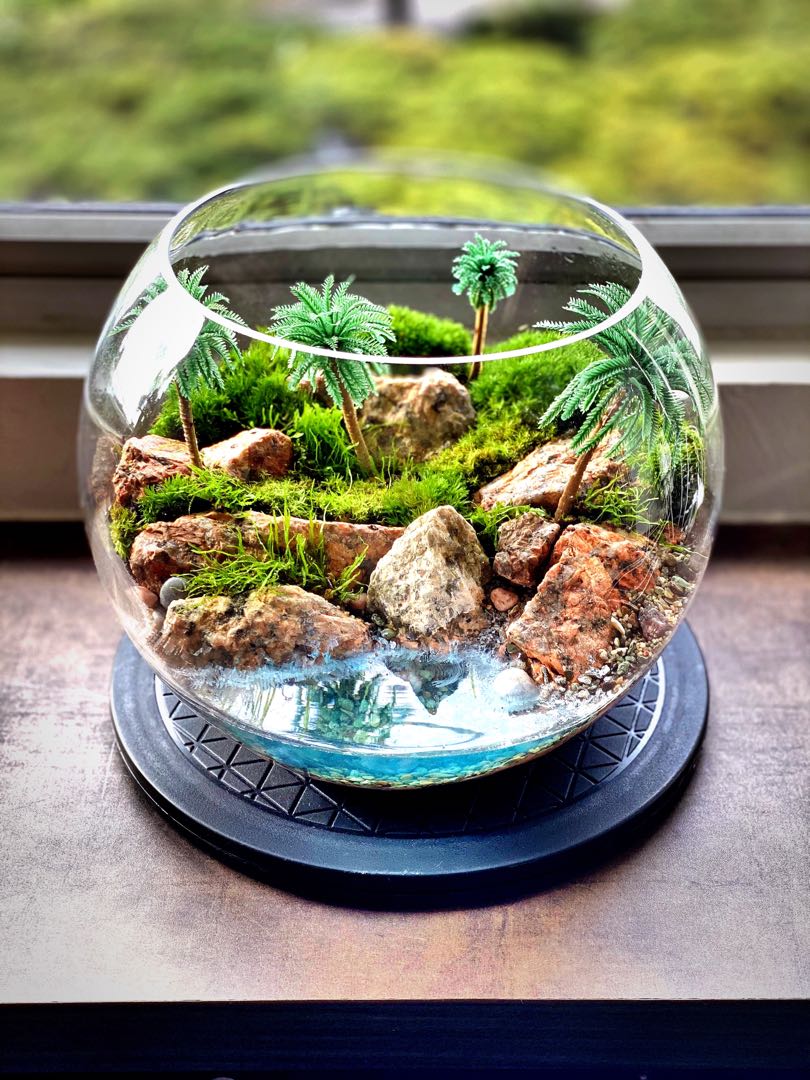 Palm-sensational Terrarium, Furniture, Home Decor, Others on Carousell