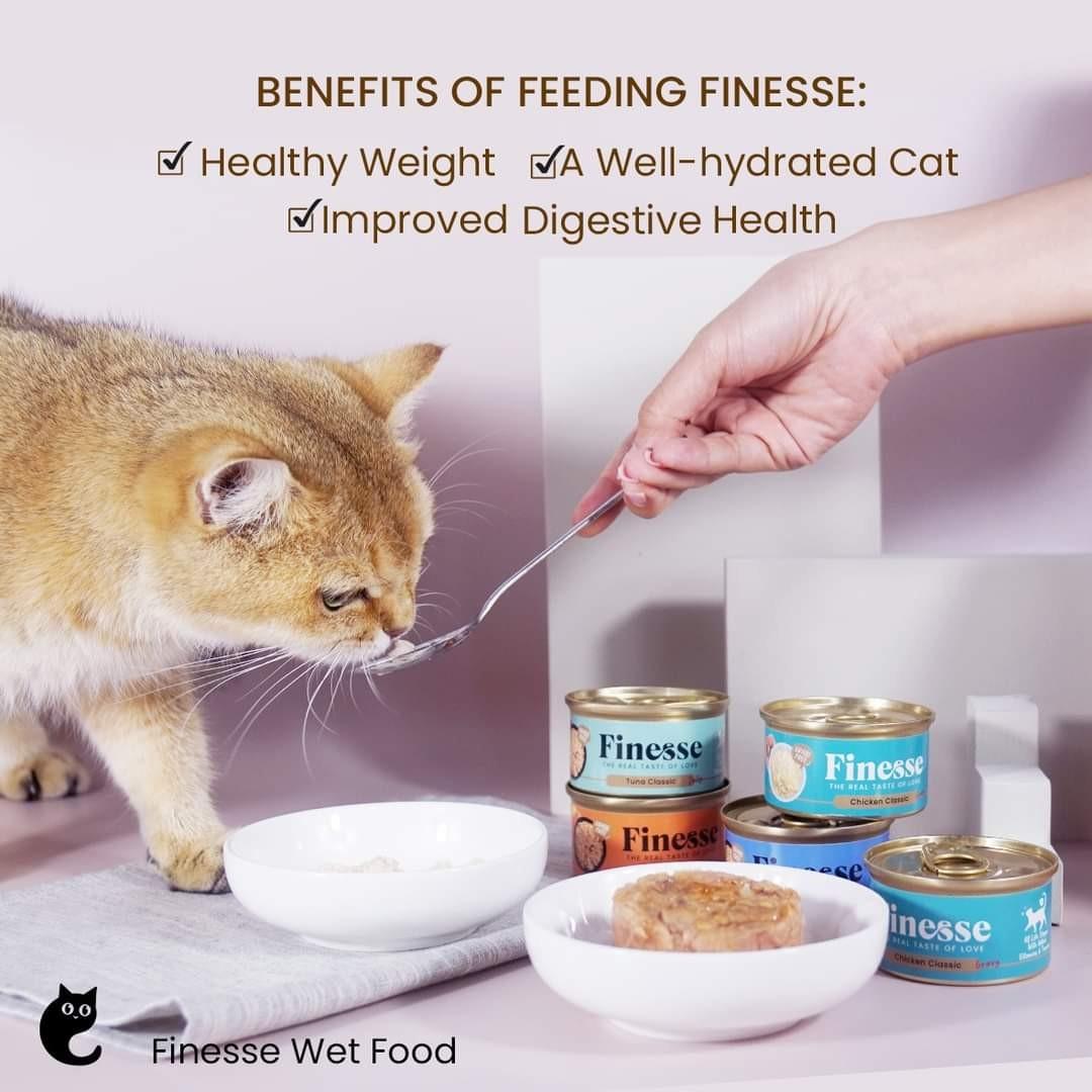 Finesse Cat Food 85g [5 ctns @$115], Pet Supplies, Pet Food on Carousell