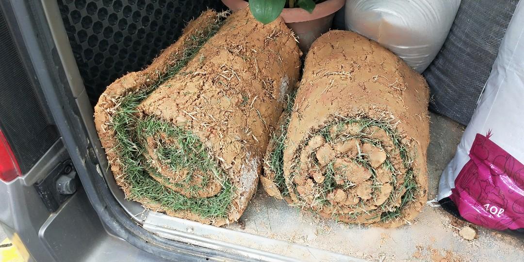 Grass Carpet (Alive and Living)., Furniture & Home Living, Home Decor ...