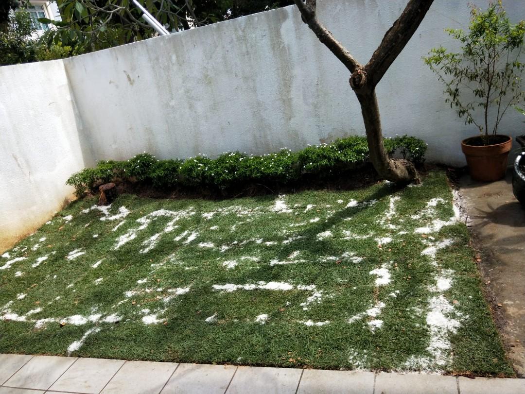 Grass Carpet (Alive and Living)., Furniture & Home Living, Home Decor ...