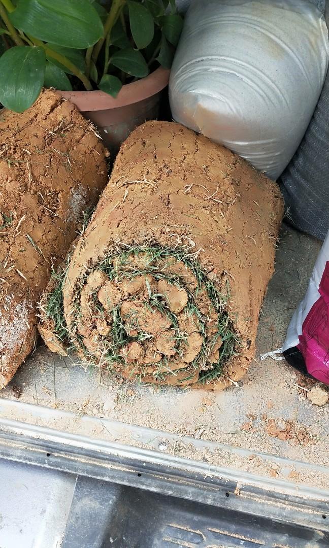 Grass Carpet (Alive and Living)., Furniture & Home Living, Home Decor ...
