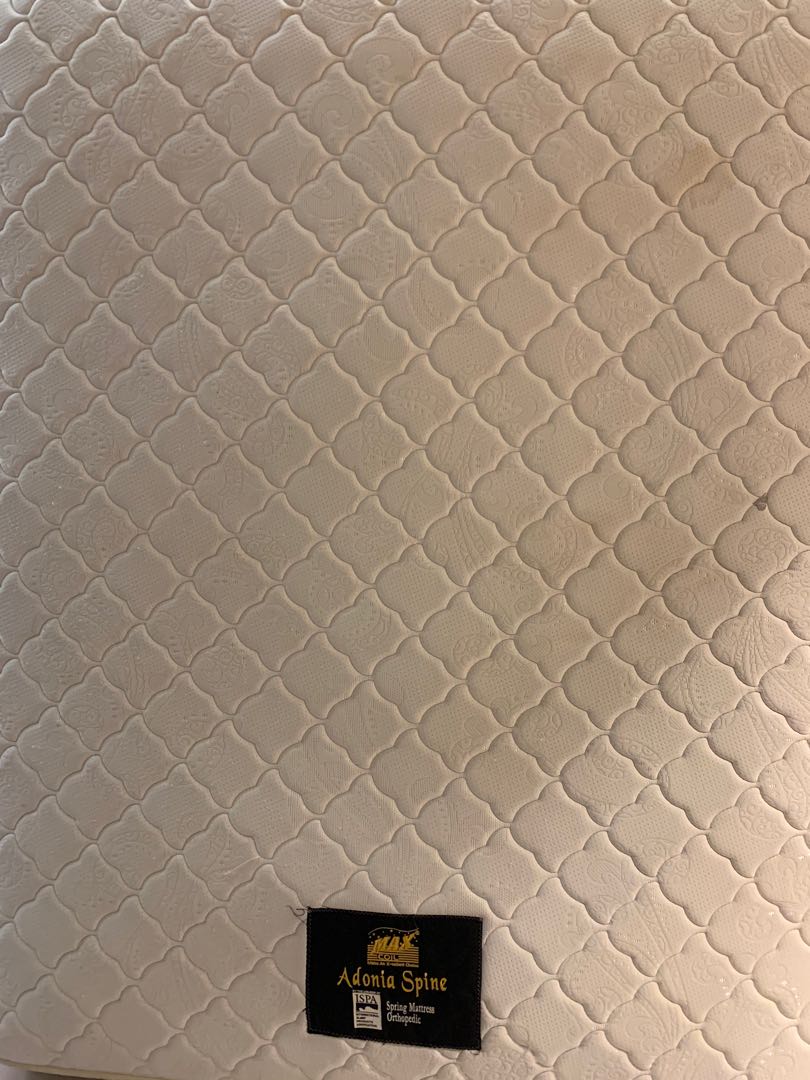 Max Coil Adoncia Spine Queen Size Mattress, Furniture & Home Living ...