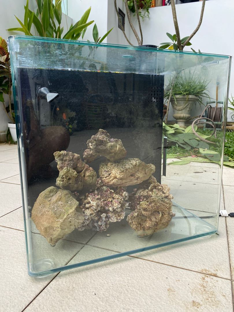 Ocean Free 63L Nano Marine Tank, Pet Supplies, Homes & Other Pet ...