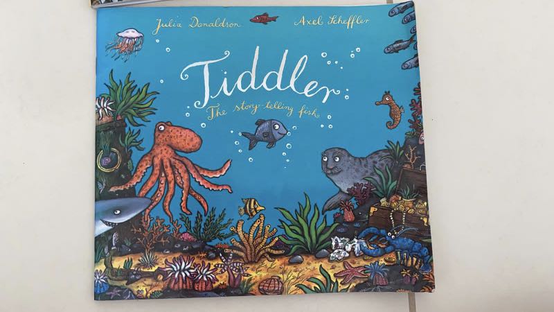 Julia Donaldson Children reading books, Hobbies & Toys, Books ...