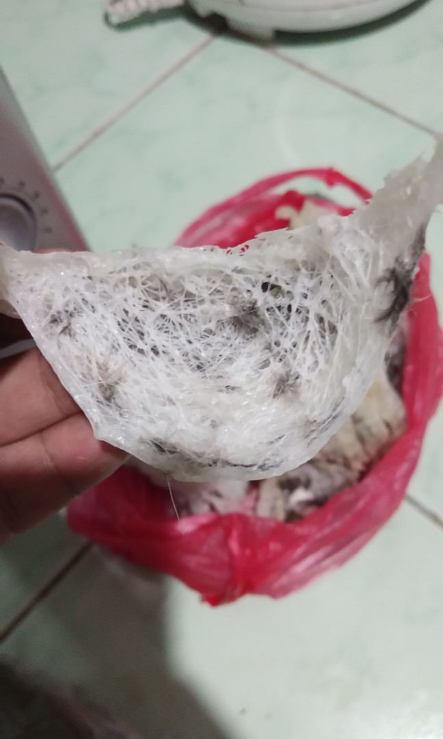 Raw Birds nest, Food & Drinks, Fresh Produce on Carousell