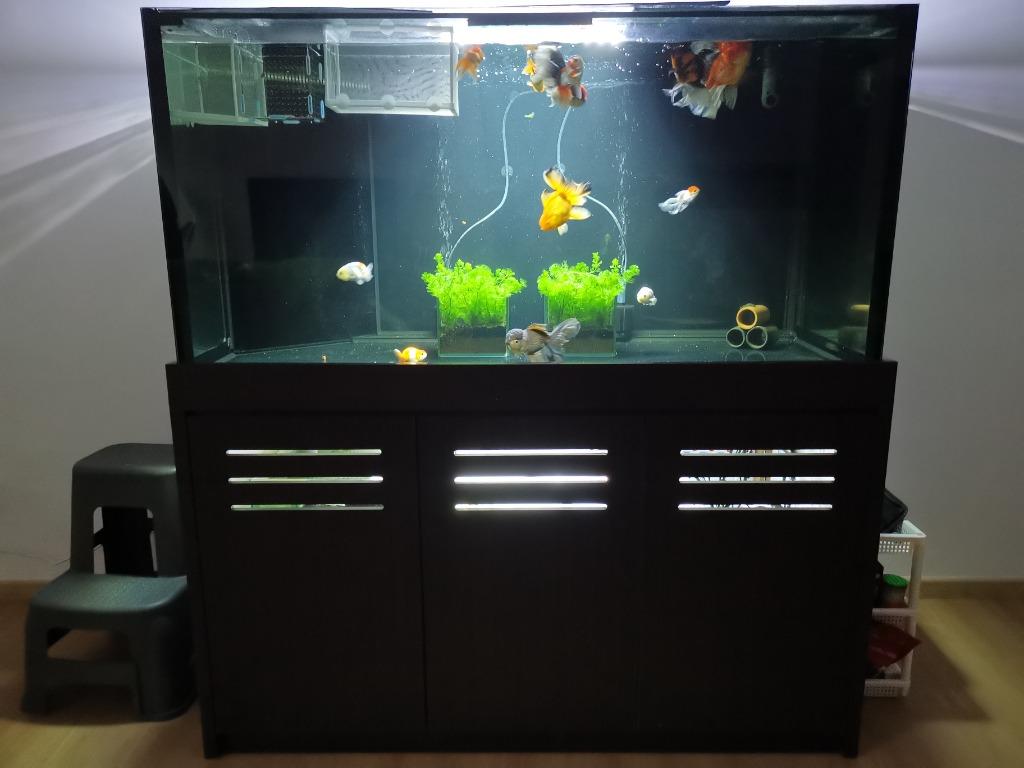 5 feet x 2.5 ft x 2.5 ft FISH TANK (w Sump Tank & Cabinet), Pet ...