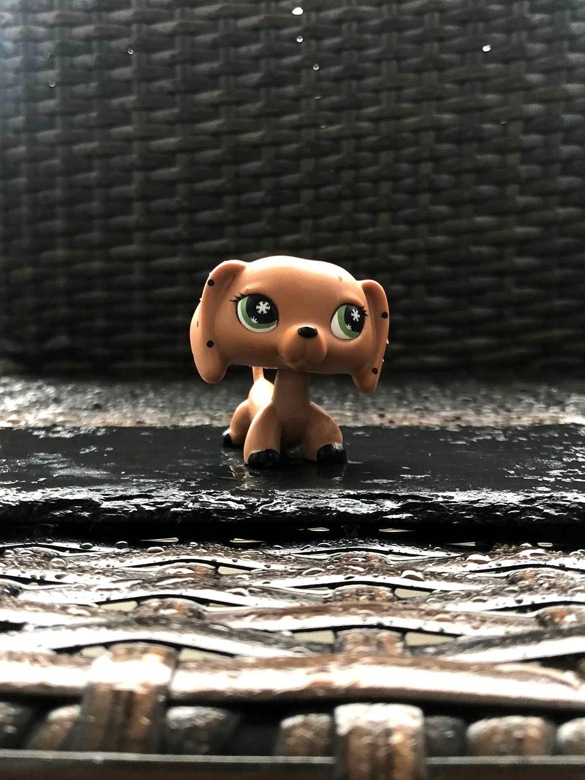 LPS Dachshund series, Hobbies & Toys, Toys & Games on Carousell