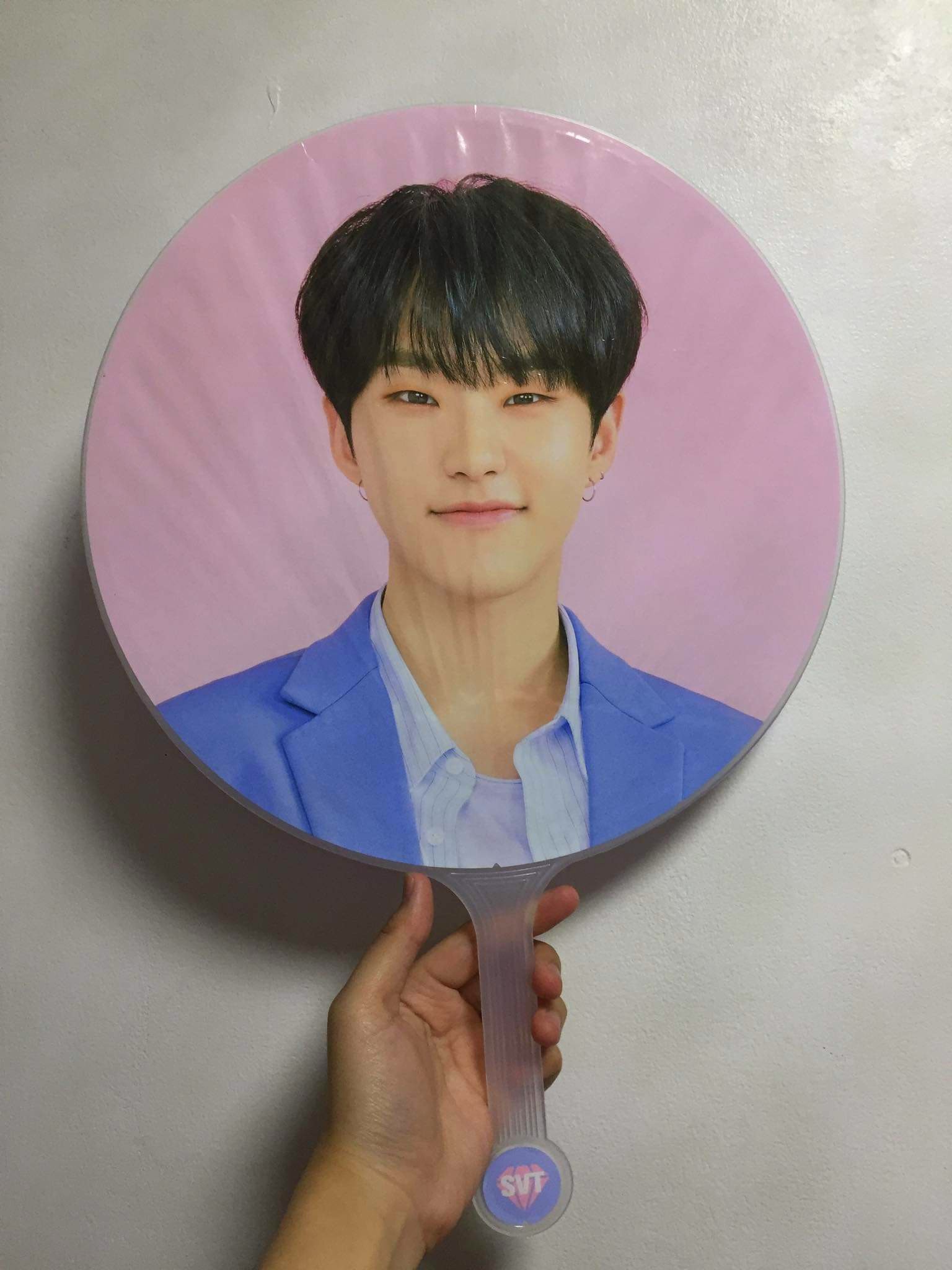 Official Hoshi Caratland 2019 Picket, Hobbies & Toys, Memorabilia ...