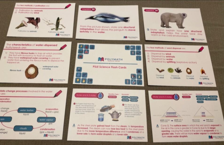 Polymath PSLE Science Flash Cards, Hobbies & Toys, Books & Magazines ...