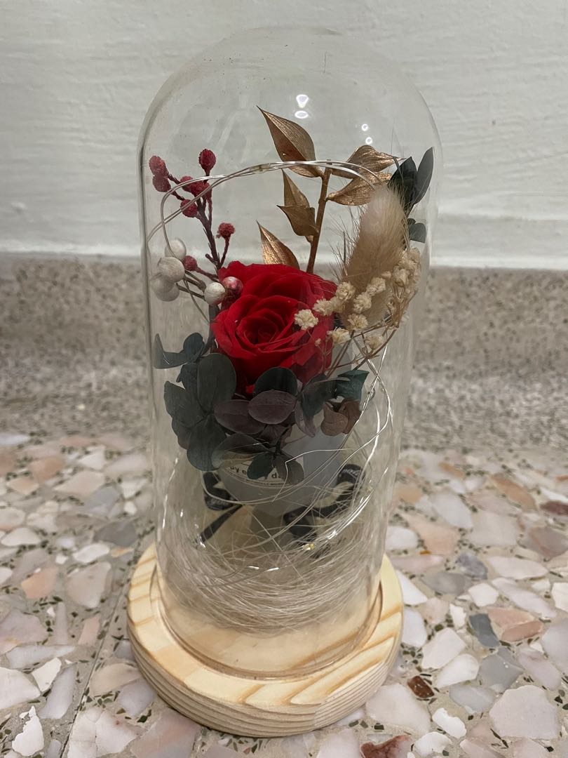 Flower dome, Furniture & Home Living, Home Decor, Other Home Decor on ...