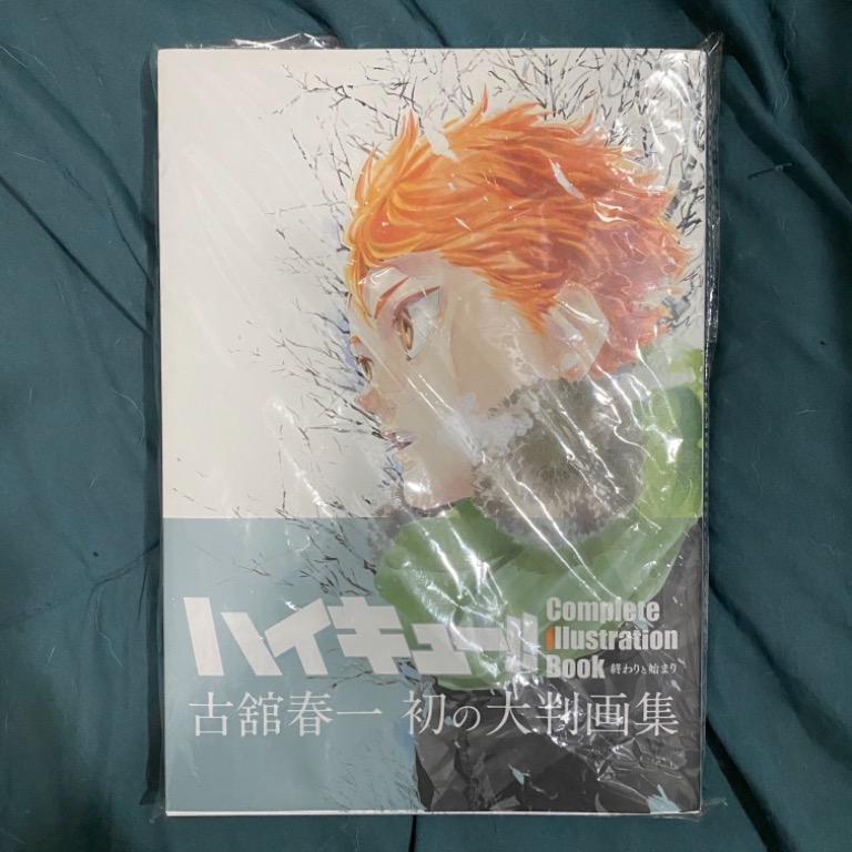 Haikyuu!! Complete illustration book: Endings and Beginnings, Hobbies ...