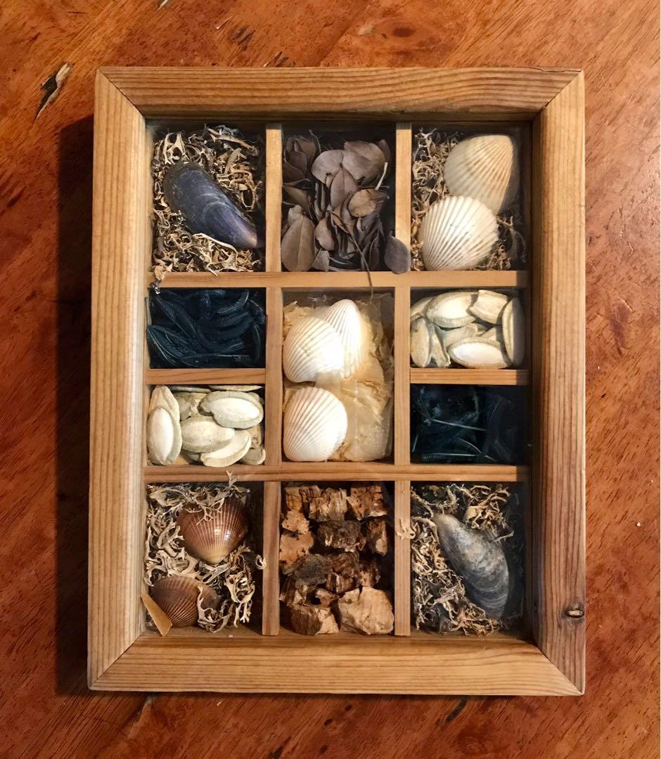 Vintage Shadow box collage art. Assorted finds- clam shells, oyster ...